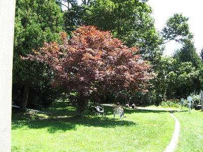 About Us | Vipassana Meditation Center – Dhamma Dharā