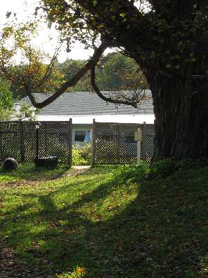 About Us | Vipassana Meditation Center – Dhamma Dharā