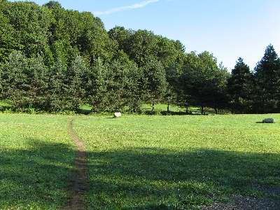 About Us | Vipassana Meditation Center – Dhamma Dharā