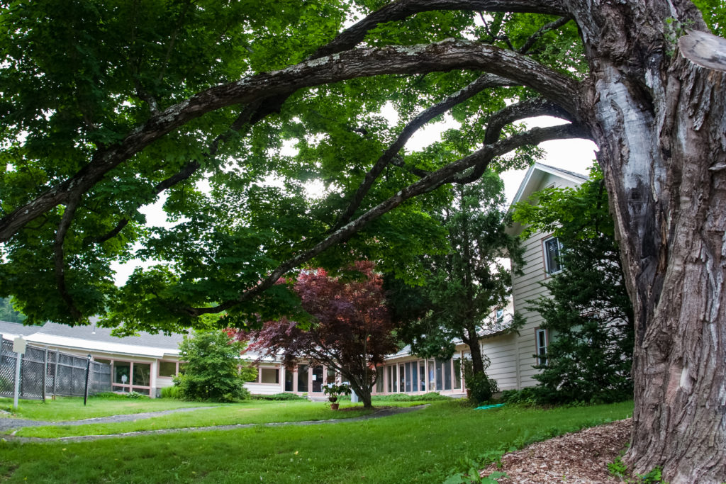 What to Expect | Vipassana Meditation Center – Dhamma Dharā